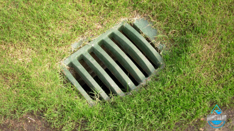 Ultimate Yard Drainage Guide | Protect Home & Lawn
